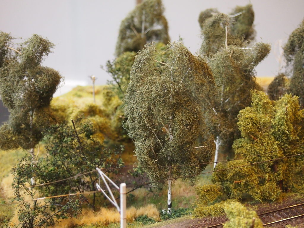How To Make Scale Model Birch Trees | Model Scenery Tutorials